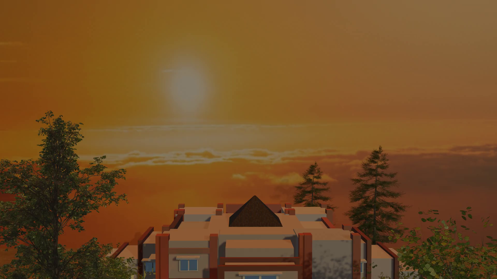 Solai Dhanush Graphic Designer